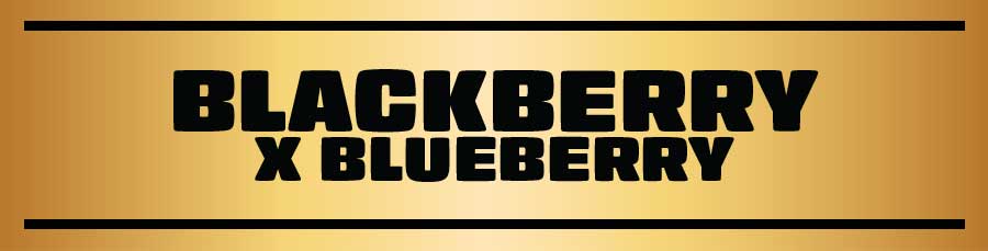 Distillate Vape Cartridges - WTF Extracts Top Distillate Vapes - WTF